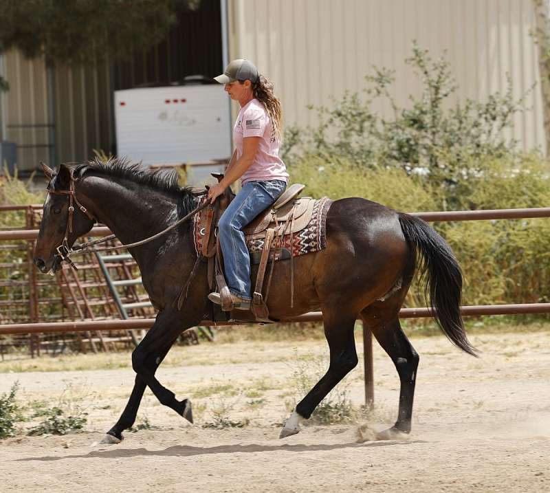 Sweet Riding Mare