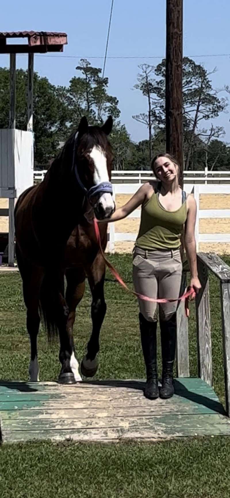 OTTB Turned Hunter/Jumper