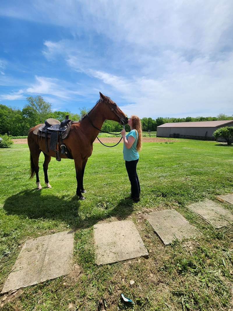 10 Year Old OTTB Mare