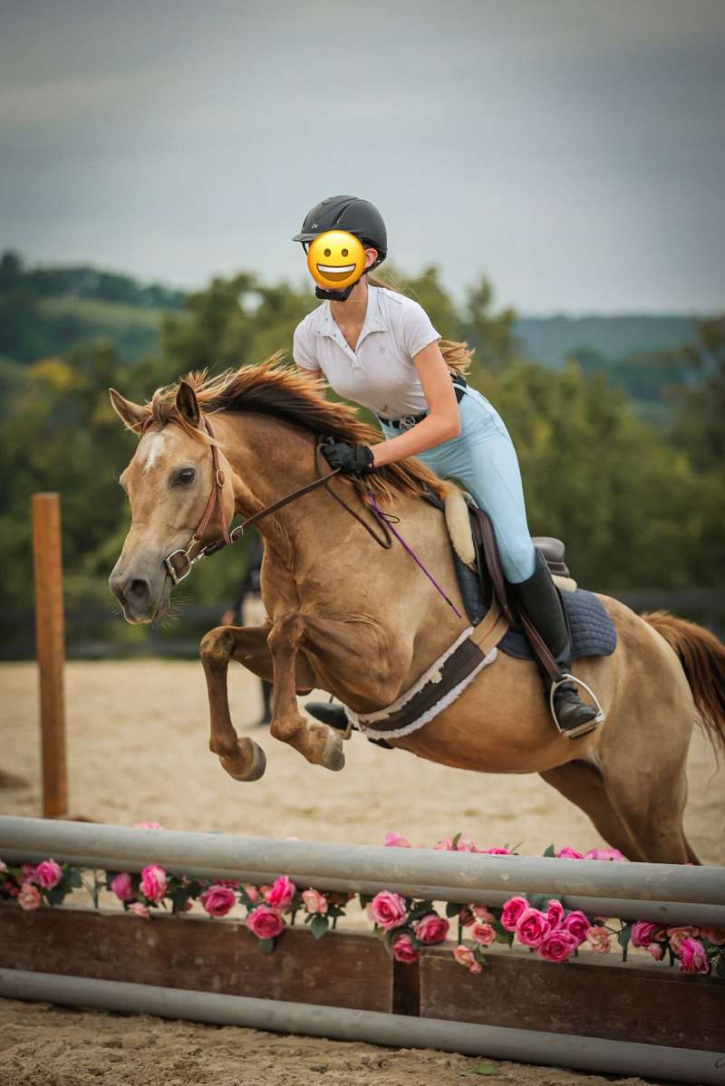 Jumper Pony for Sale!
