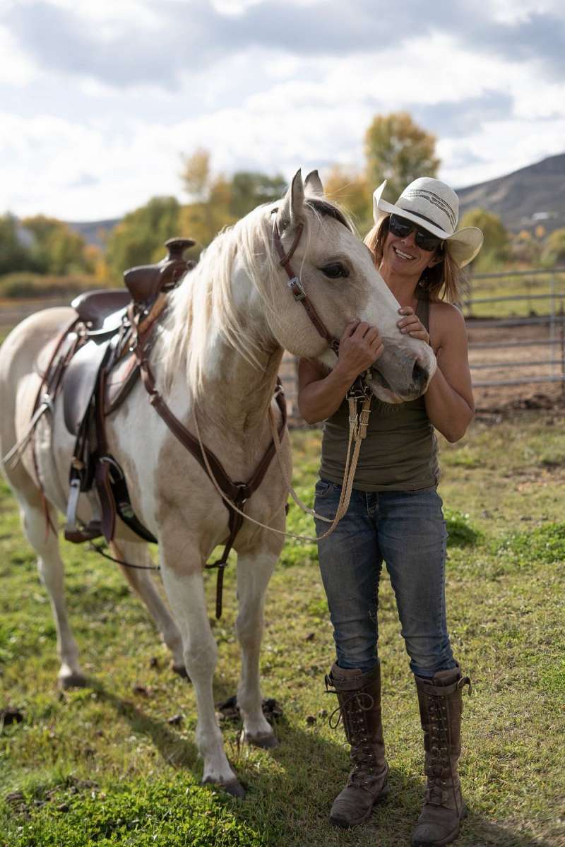 Paint Mare in Foal to Gypsy Vanner Stallion