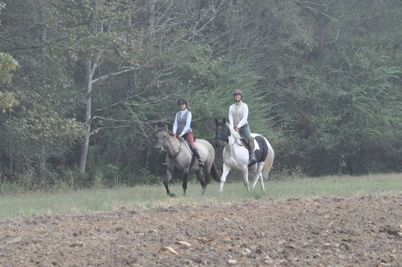 Meet Perazzi — Your Next Trusted Partner in the Hunt Field!