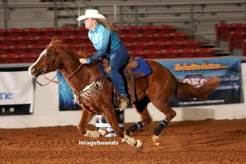 Finished Barrel Horse