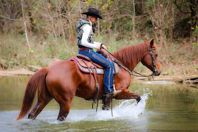 Super Handy, Athletic, Fun, and Handy Sorrel QH Mare, Ranch, Trail, Rope