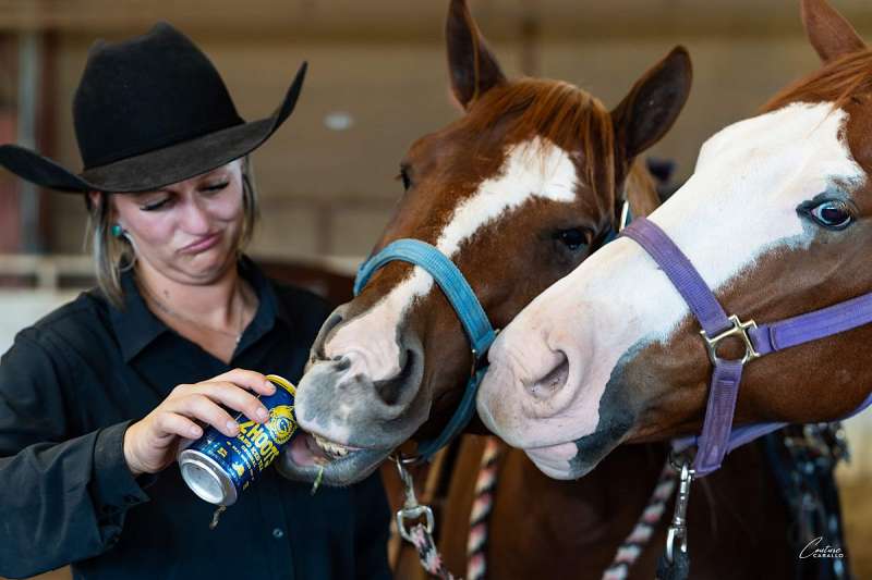 Cuervo - Top Notch Ranch & Reining Horse 4 Yr Old Sorrel AQHA Gelding!