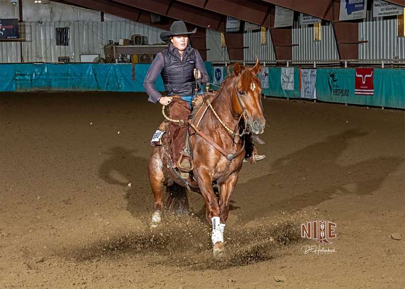 Moonshine - Beautiful Ranch & Cowhorse Deluxe 6 yo Chestnut AQHA Gelding!