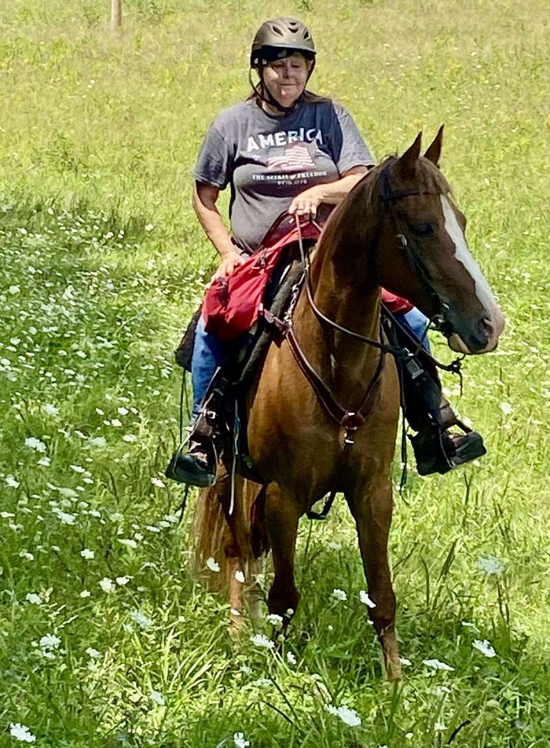 Horses for Sale in Indiana