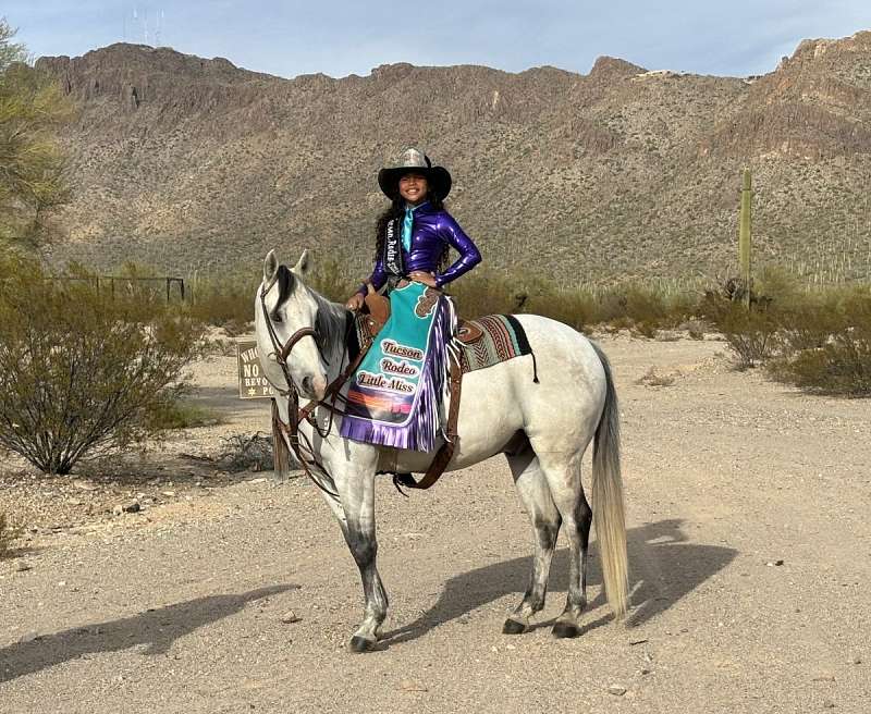 "Robby"2019 Gray Overo15 Hand Gelding * All-Around Family Safe One of a Kin