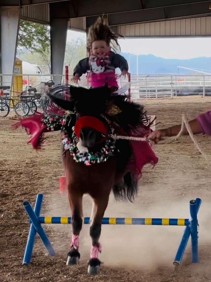 Jolene 37" Bay Mini Mare Playful*Fun*Kid Friendly