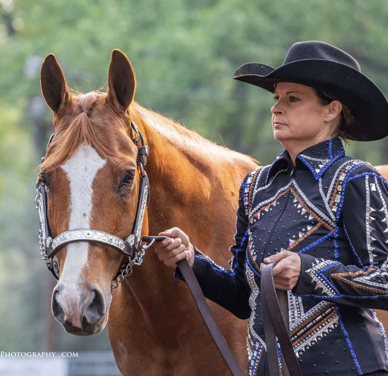 Beautiful Show Horse Deluxe 12 Yr Old Sorrel AQHA Gelding!