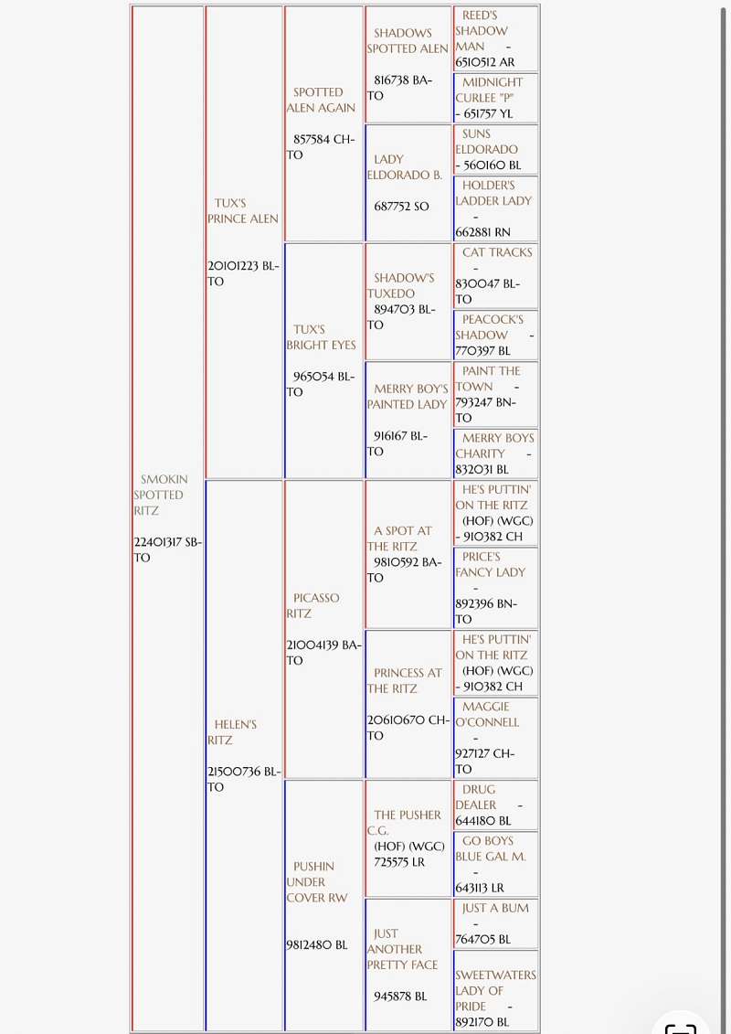 Smokin’ Spotted Ritz