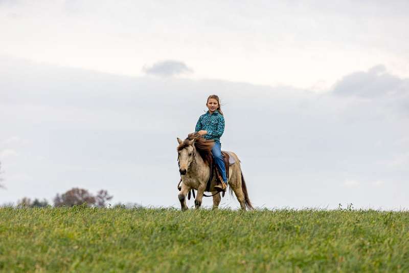 Yogi- the Ultimate Beginners Buckskin Pony