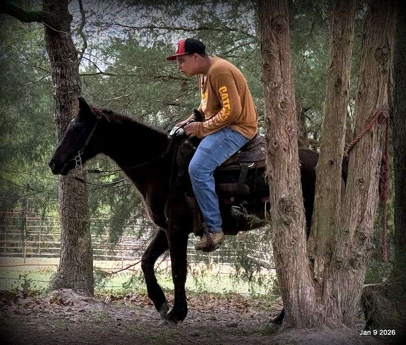 Sweet Willing Project Ready to be Finished Out