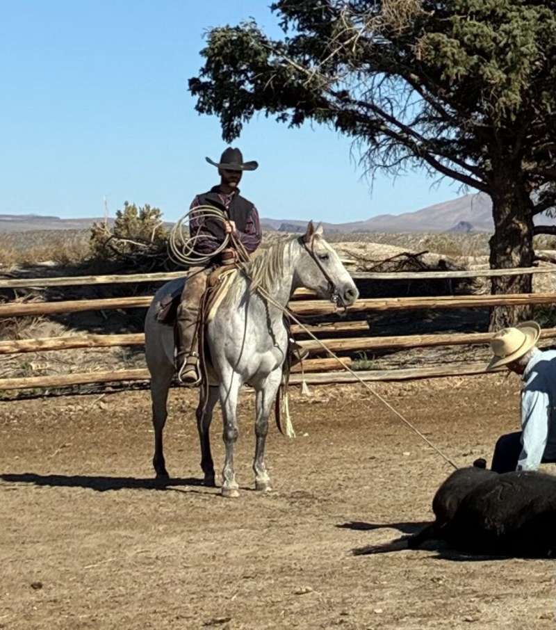 Paddys Dually – 2018 AQHA Red Roan Gelding