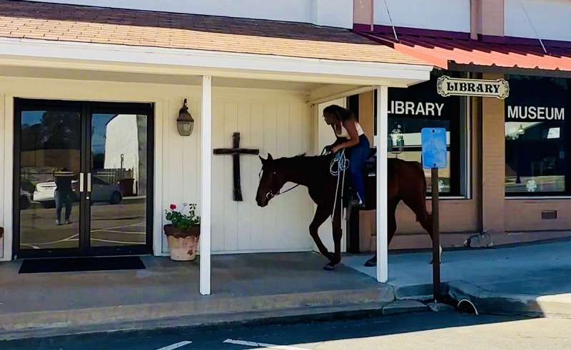 Registered AQHA Appendix Gelding With Incentives