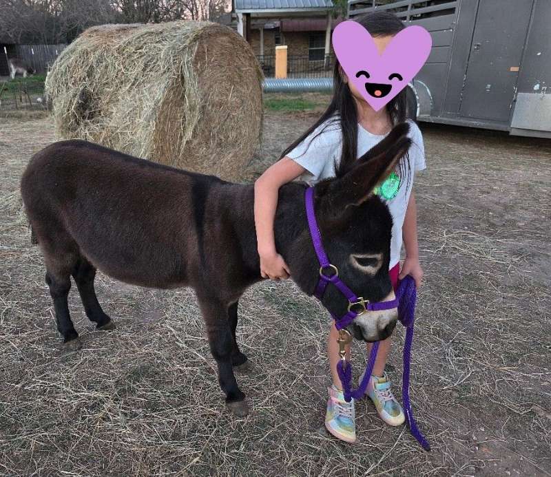 Sweet and Friendly Mini Jack