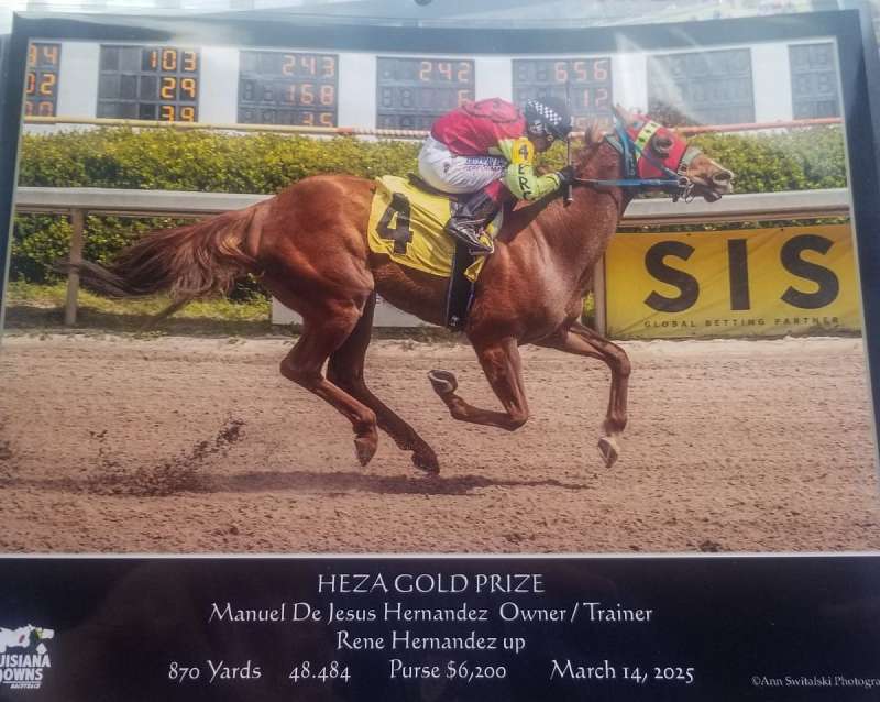 Racehorse