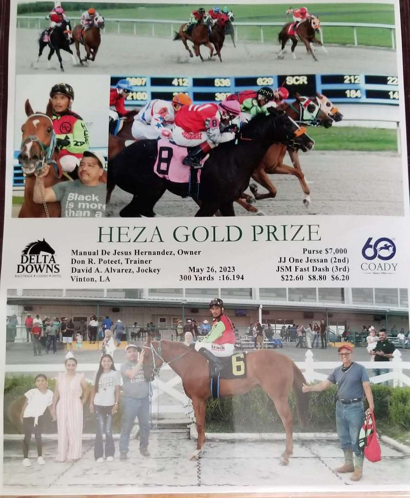 Racehorse
