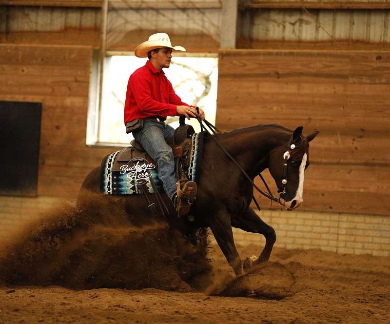 His Name Says It All—Promise is a Horse That Delivers. Gunnatrashya