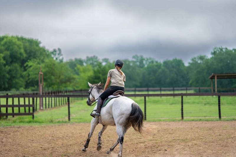 Affordable Horseback riding and horsemanship lessons