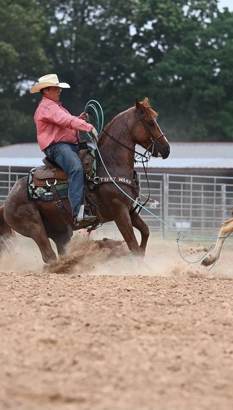 Dual Smart Rey X Ginger Pepto $99,464 & PE - $208,768 by Peptoboonsmal